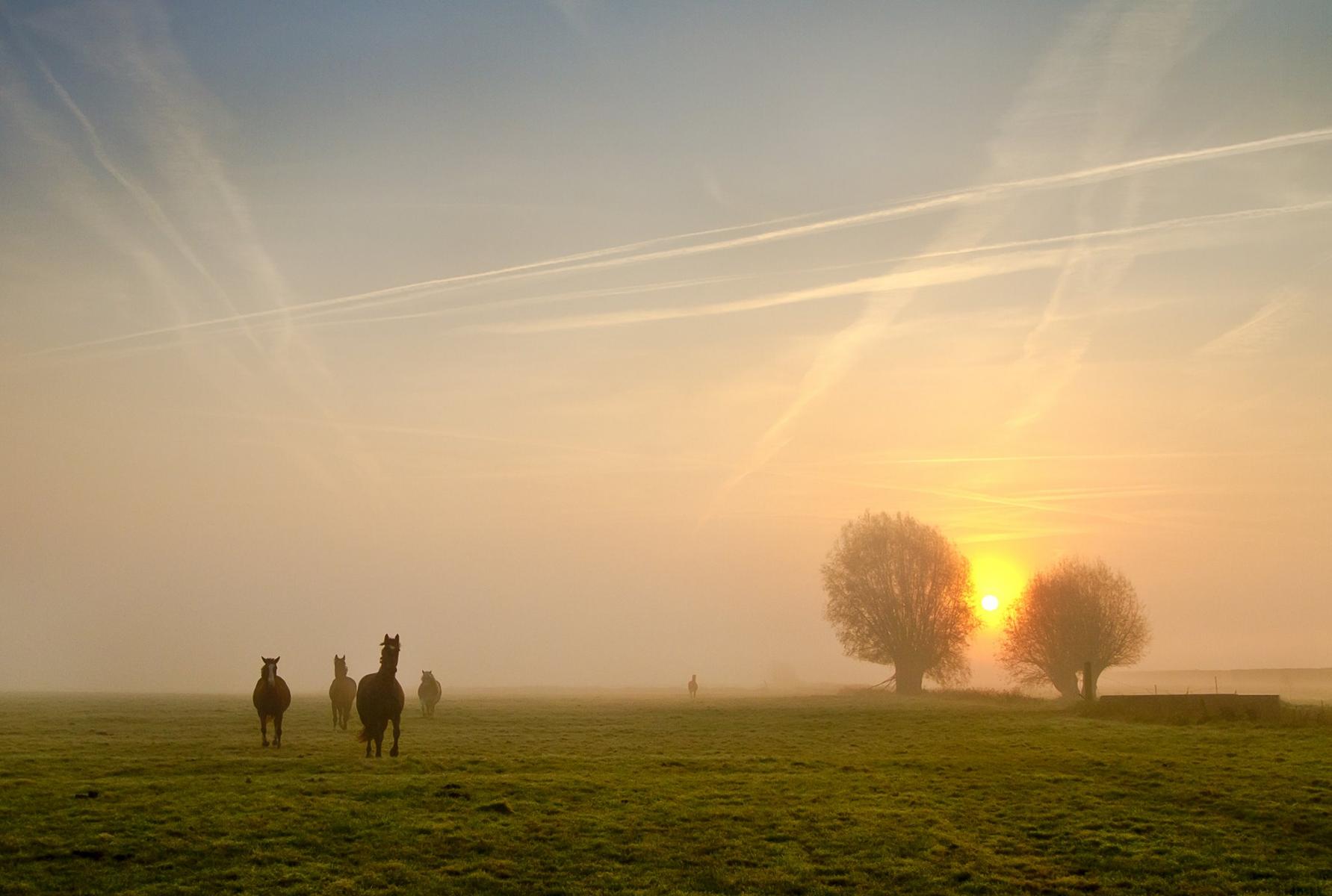 Gemeente Lummen | e2e solutions